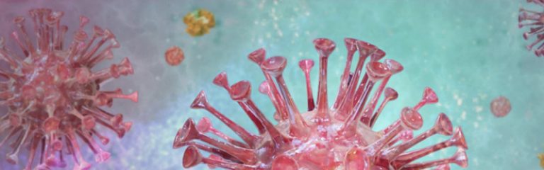 ¿Qué es el quimo? Glosario de ciencias | Ambientech