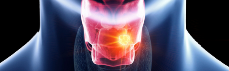 ¿Qué es la faringe? Glosario de ciencias | Ambientech