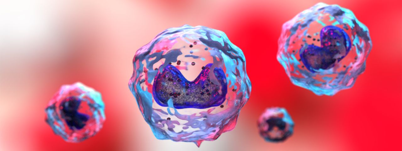 Monocitos:defensa vital del sistema inmunológico Salud | Ambientech